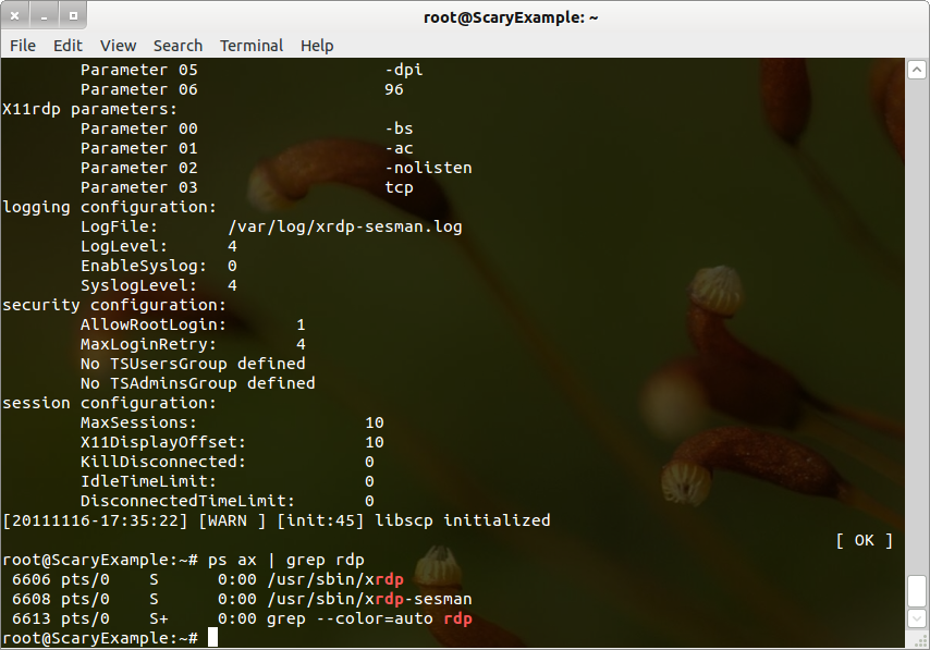 X11rdp Ubuntu 1110 Gnome 3 Xrdp Customization New Hotness Updated Scarygliders 