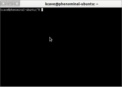 Customize Xterm, the original and best terminal... - Scarygliders