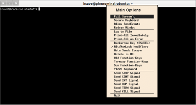 Customize Xterm, the original and best terminal... - Scarygliders