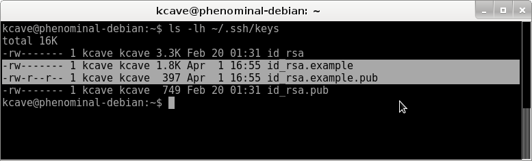 Rsa Authentication For Openssh On Windows And Linux