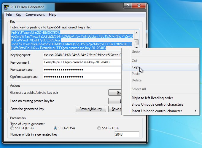 Secure your systems with ssh on Linux and puTTY on Windows